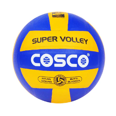 Best Volleyballs for Indoor & Outdoor Play for every level of player ...
