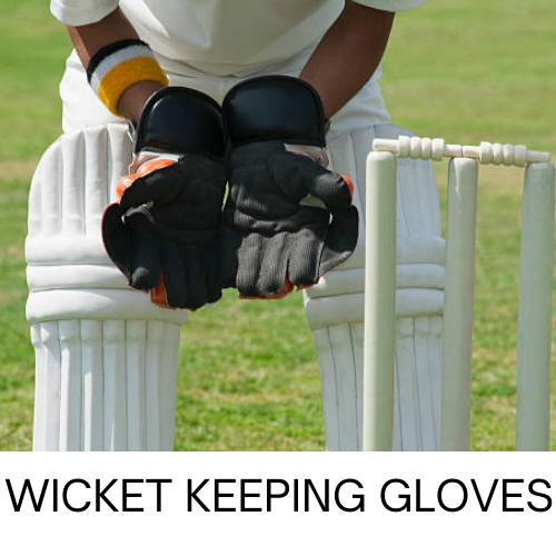 Cricket Wicket Keeping Gloves – Sportswing.in