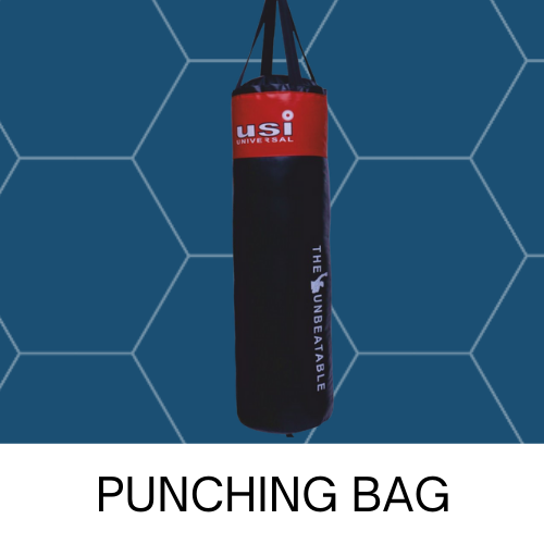 Boxing Punching/Kick Bags – Sportswing.in