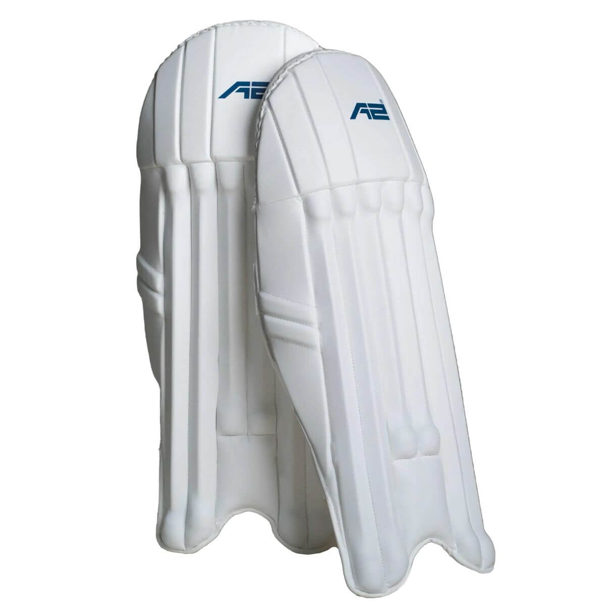 A2 Cricket Wicket keeping Pad – Sportswing.in