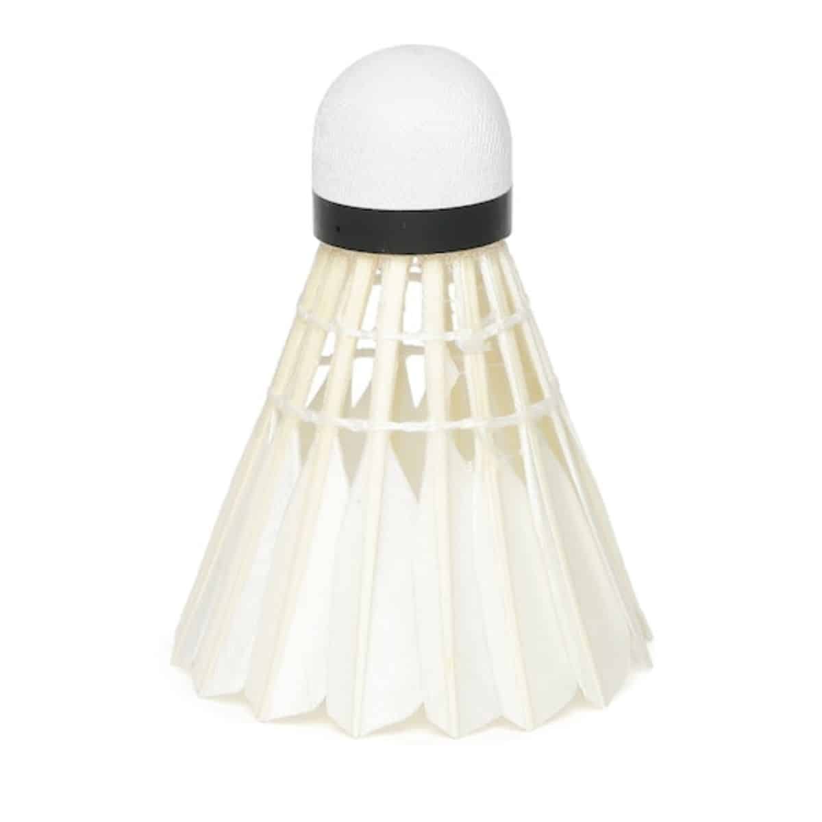 Ashaway A4 Feather Badminton Shuttlecock – Sportswing.in
