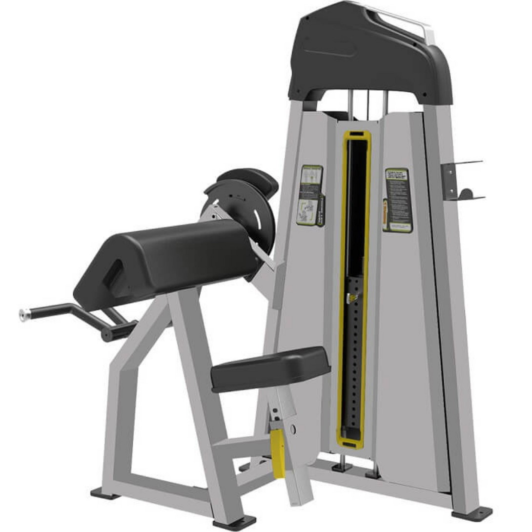 Cosco CE-3030 Biceps Camber Curl Weight Machine – Sportswing.in