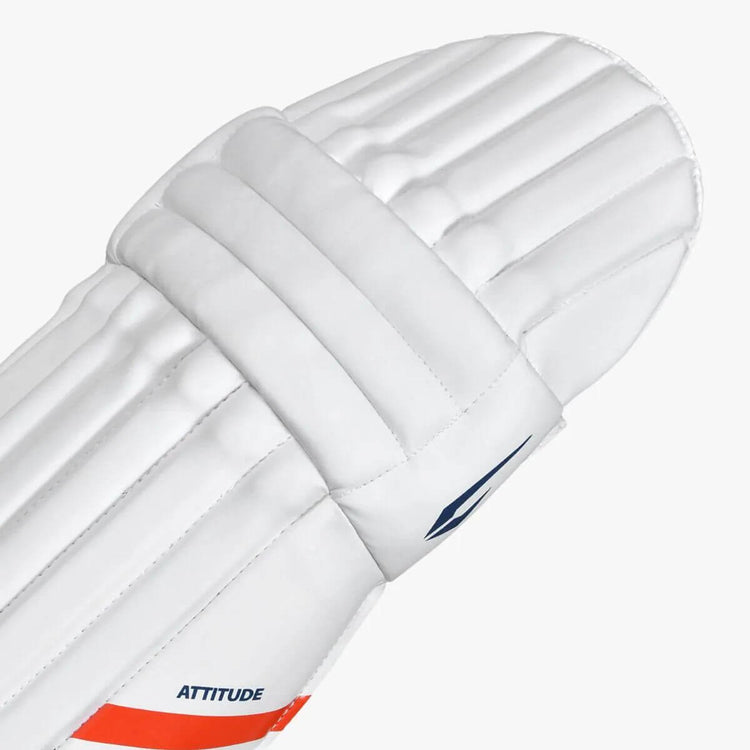 DSC Attitude Cricket Batting Leg Guard – Sportswing.in