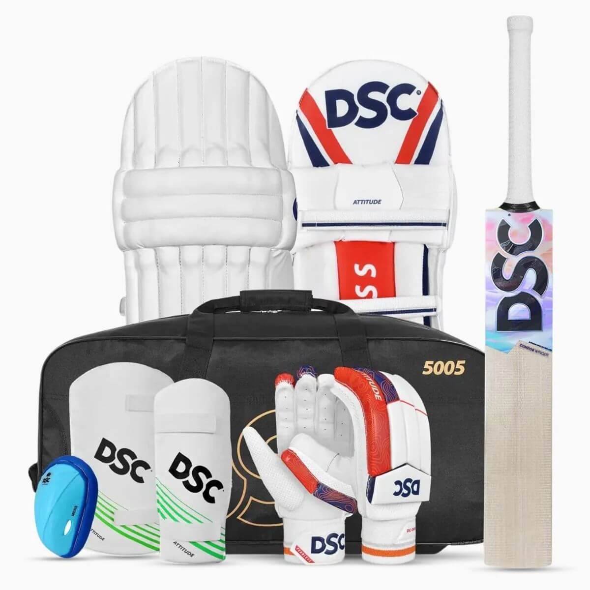 DSC Economy English Willow Cricket Kit – Sportswing.in