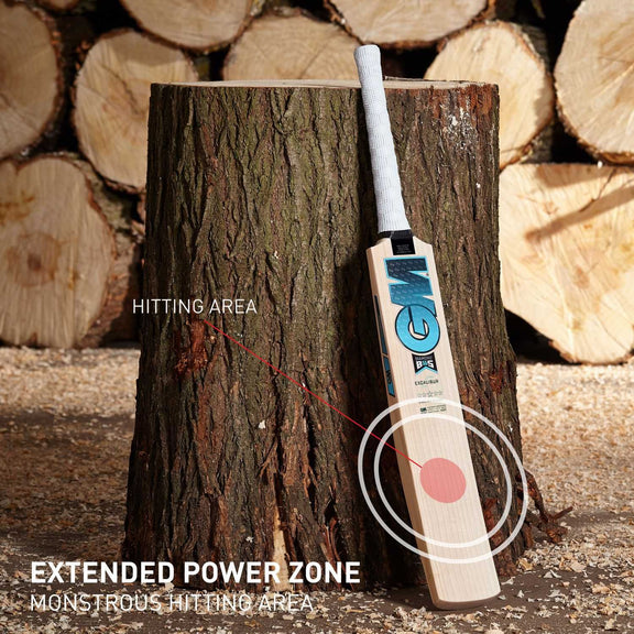 GM Diamond Excalibur Cricket Bat-English Willow – Sportswing.co
