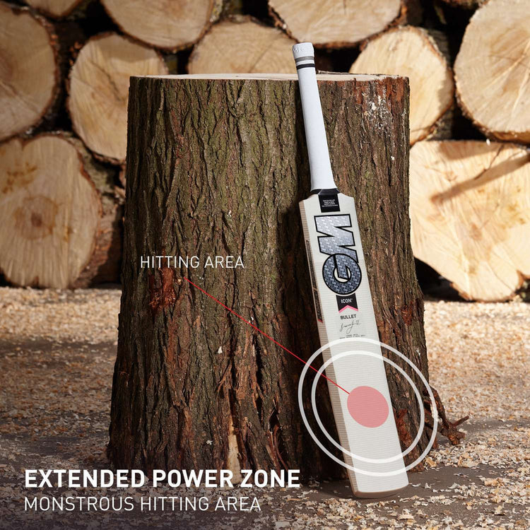 GM Icon Bullet Cricket Bat-English Willow – Sportswing.in