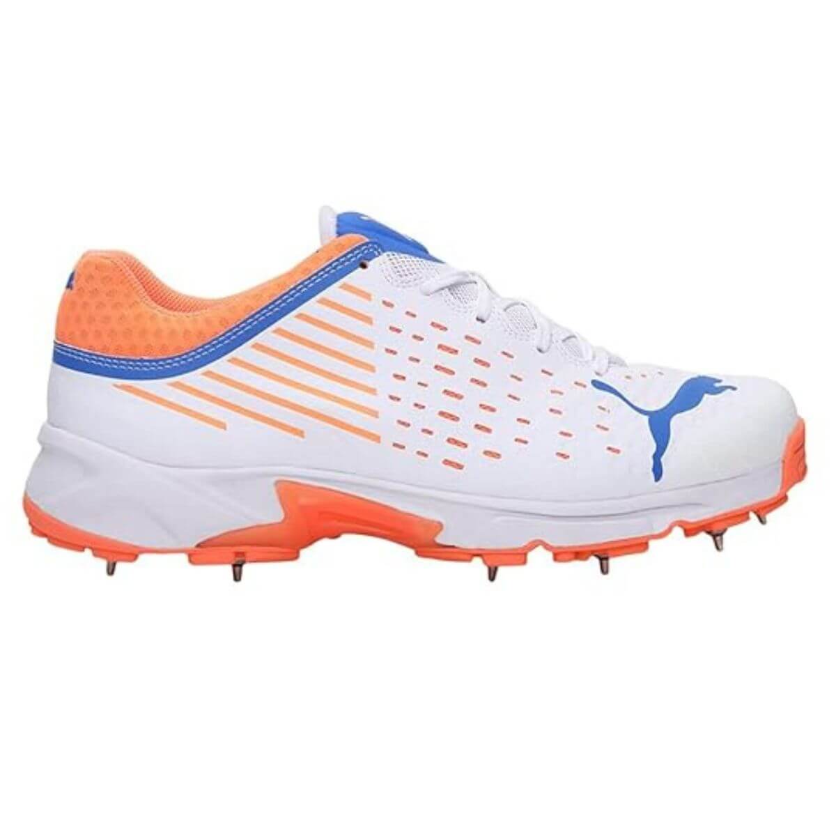 Puma Spike 22.1 Unisex Cricket Shoes (White) – Sportswing.in