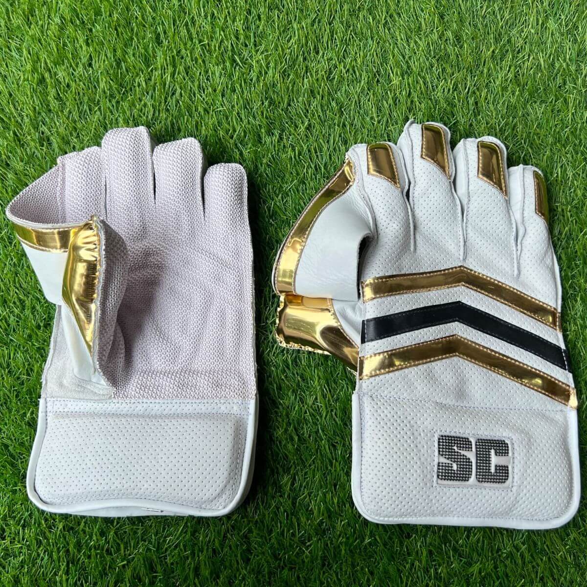 SC Player Edition Cricket Wicket Keeping Gloves – Sportswing.in