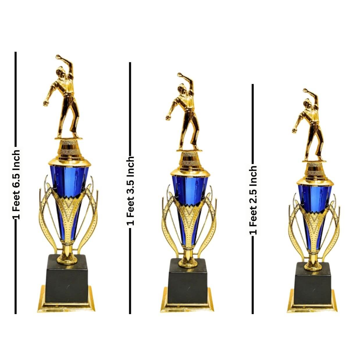 TM TM233 Cricket Sports Trophy (Set of 3 Trophies) – Sportswing.in