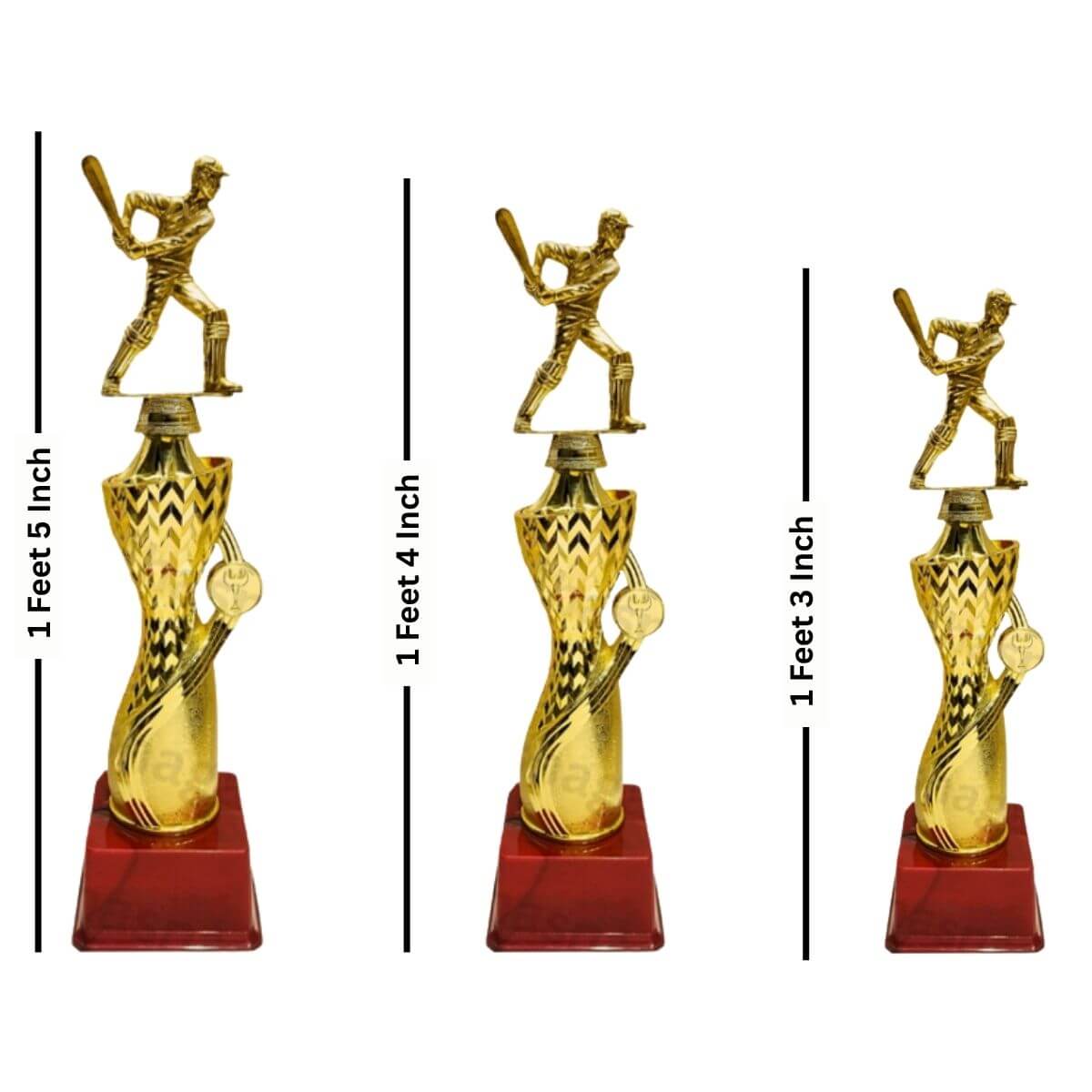 TM TM279 Cricket Trophy (Set of 3 Trophies) – Sportswing.in