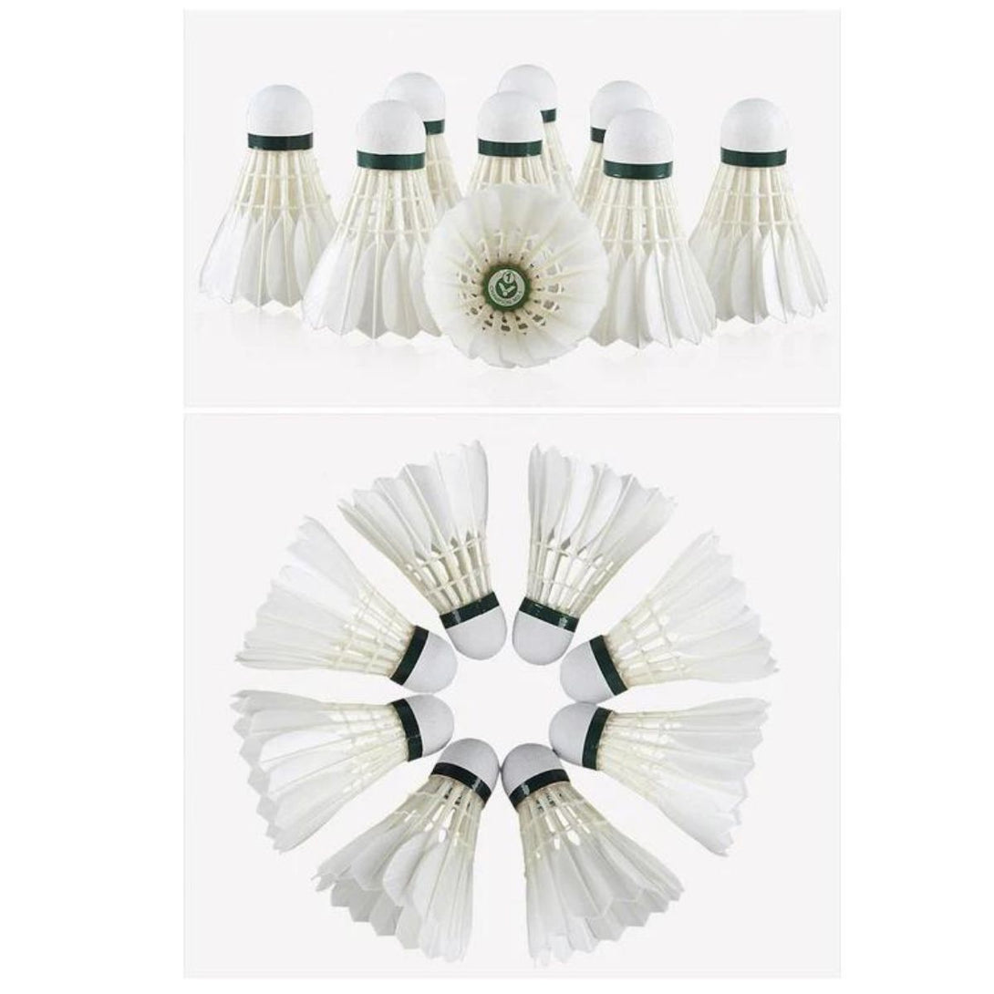 Victor Champion No 1 Badminton Shuttlecock – Sportswing.in